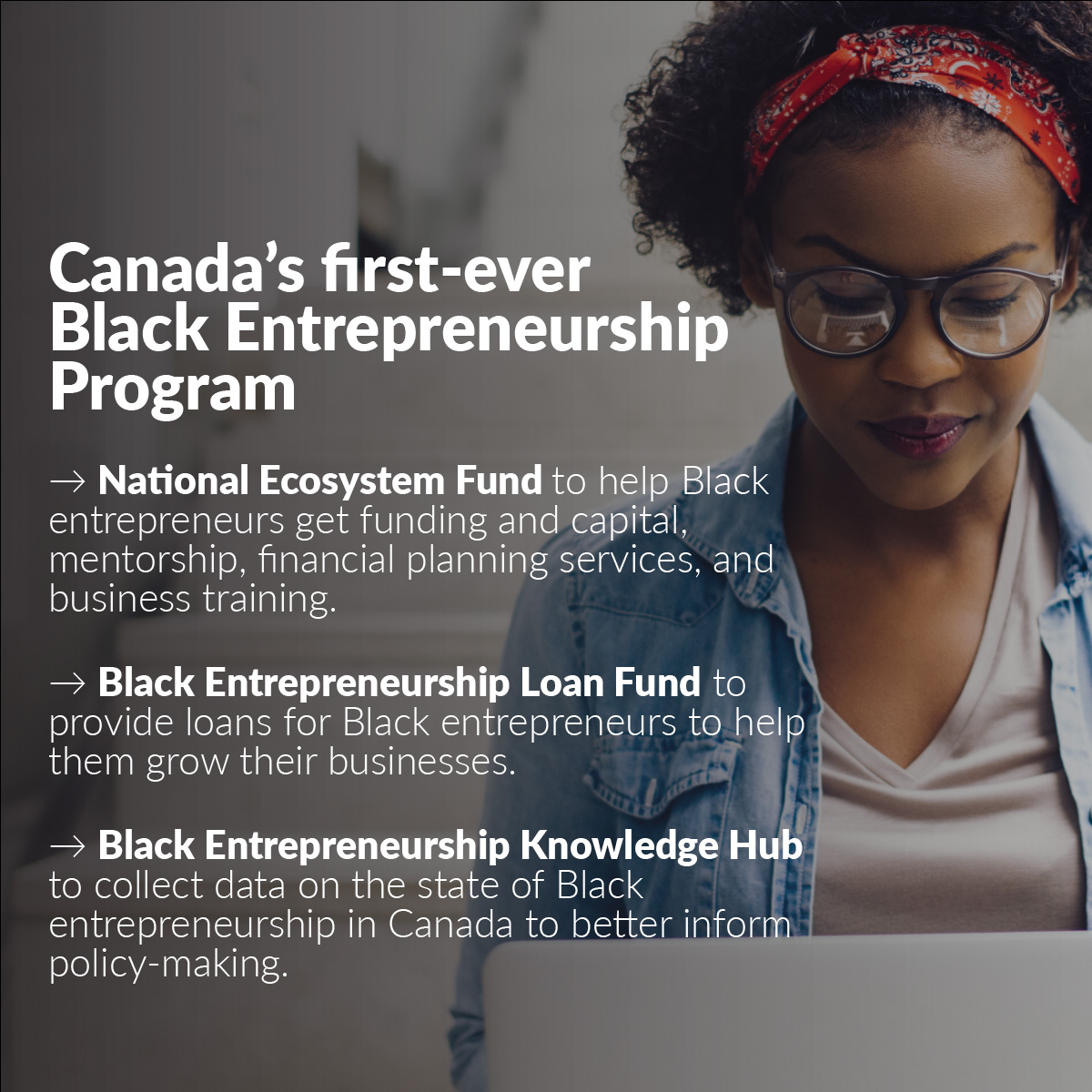 Federal Government Launches Black Entrepreneurship Program - Hedy Fry